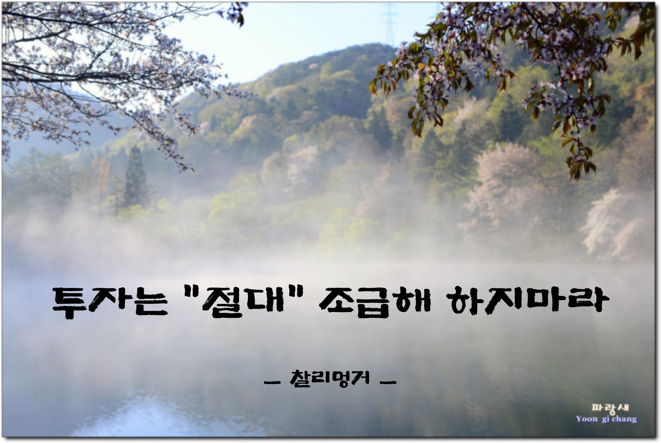 지금 태양과 하늘을 한번 보고 하루를 시작하시죠. : 셀트리온(068270)